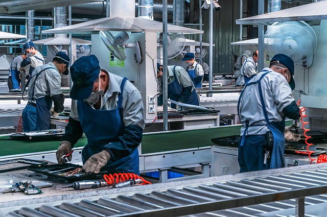 Molding Operator - 1st Employment